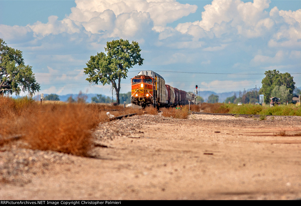 BNSF 4006 Leads H-GUEKCK4-16